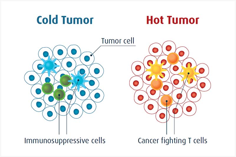 Keytruda Artiklar - MSDinsight.se